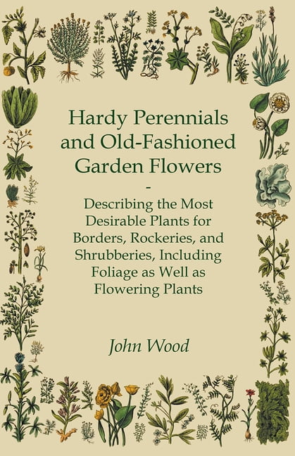 Hardy Perennials and Old-Fashioned Garden Flowers;Describing the Most ...
