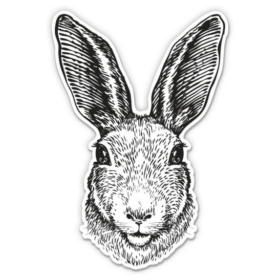 Hare Vintage Illustration Rabbit - 5" Vinyl Sticker - For Car Laptop I ...