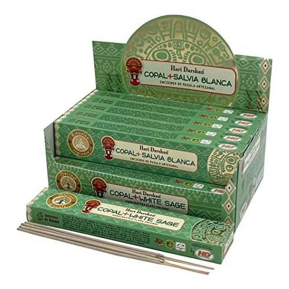 Hari Darshan Handcrafted Premium Incense Sticks 12 Box X 15 Sticks Total Of 180 Sticks (Copal ...