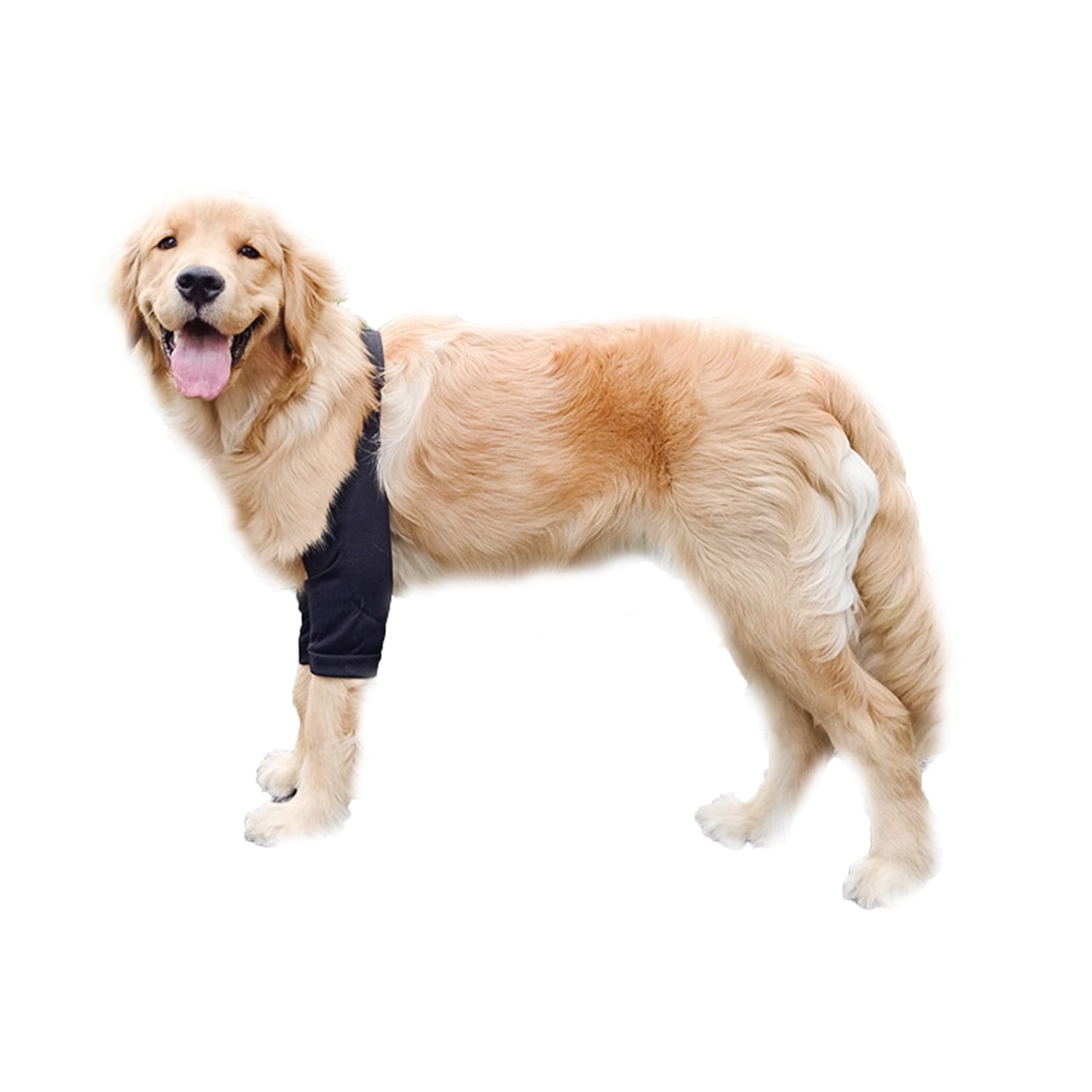 Harikaji Dog Elbow Protector, Dog Front Leg Recovery Protector for ...