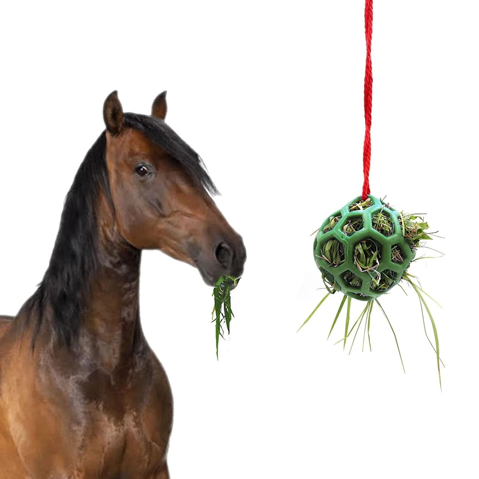 Harikaji Horse Treat Ball Hay Feeder Toy, Goat Pony Feeder Ball Hanging ...