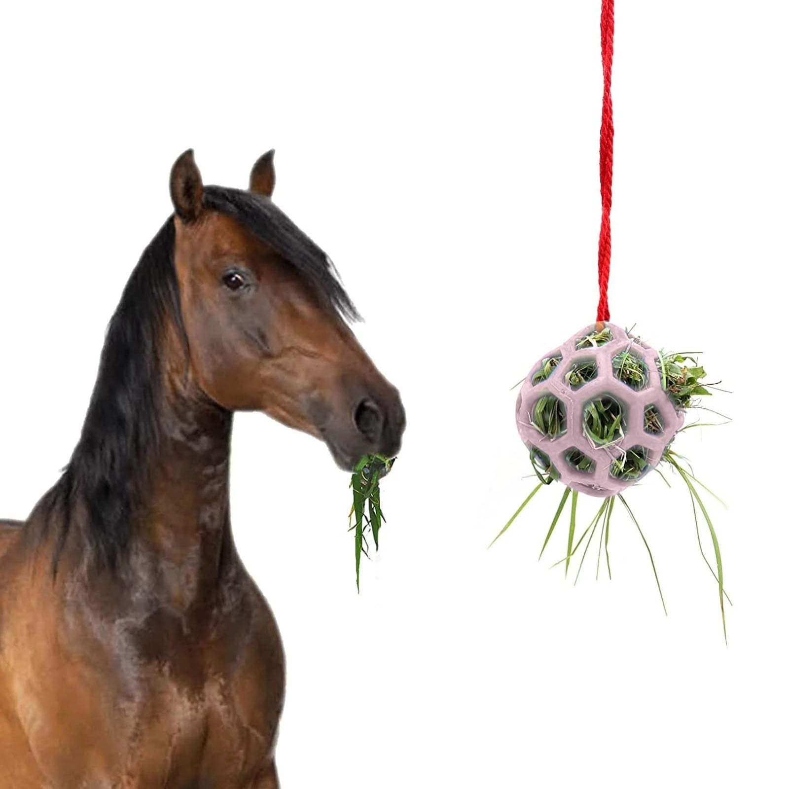 Harikaji Horse Treat Ball Hay Feeder Toy, Goat Pony Feeder Ball Hanging ...