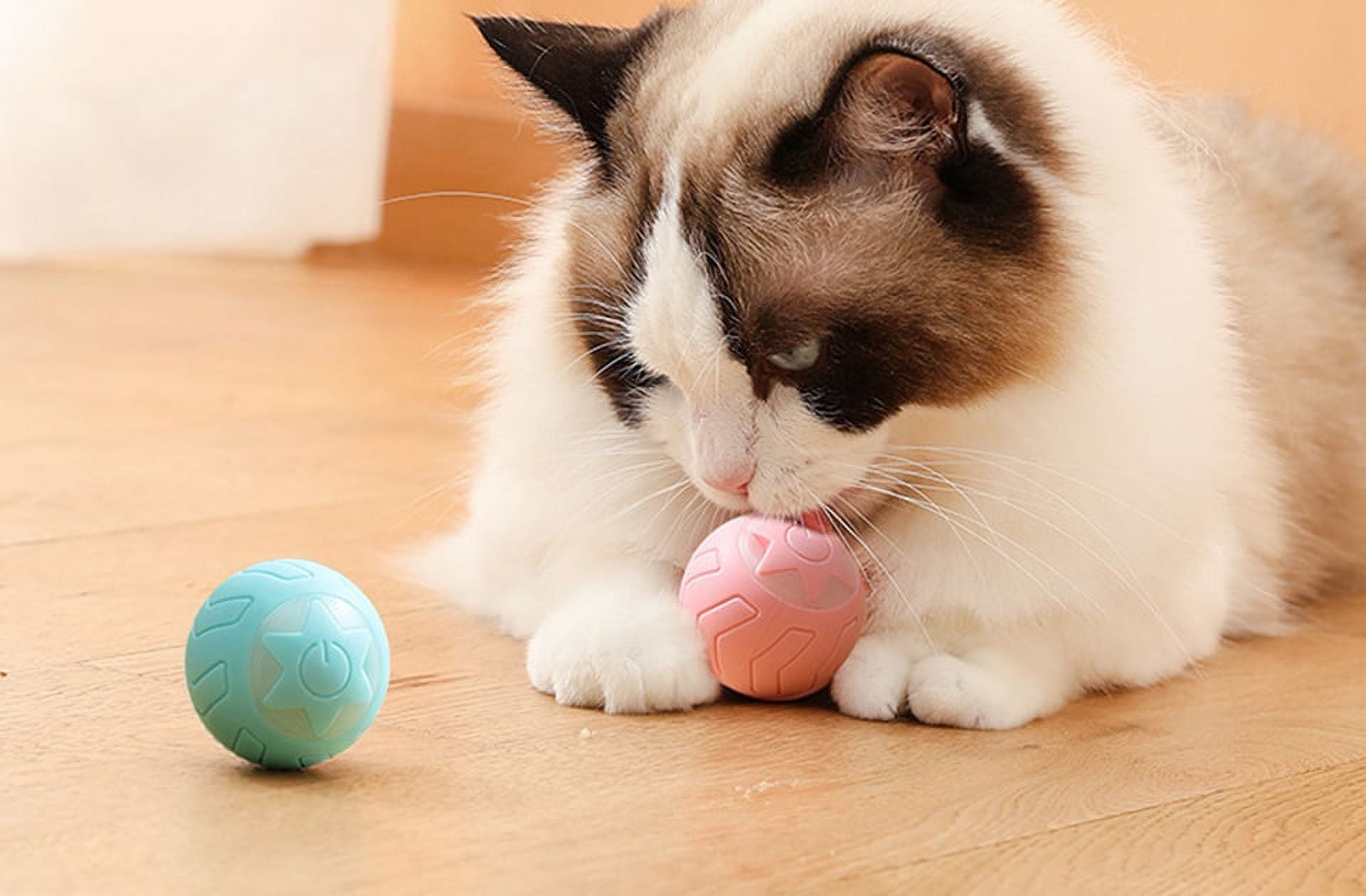 Hariumiu Cat Toy with Biological Trajectory Cat Toy Ball 360 Degree ...