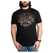 Harley-Davidson Men's Pan Age Engine Short Sleeve Crew-Neck T-Shirt- Black (3XL), Harley ...