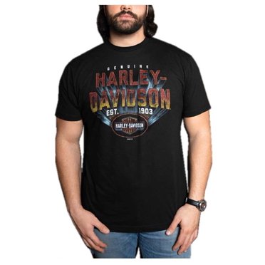 Harley-Davidson Men's Pan Age Engine Short Sleeve Crew-Neck T-Shirt- Black (3XL), Harley ...