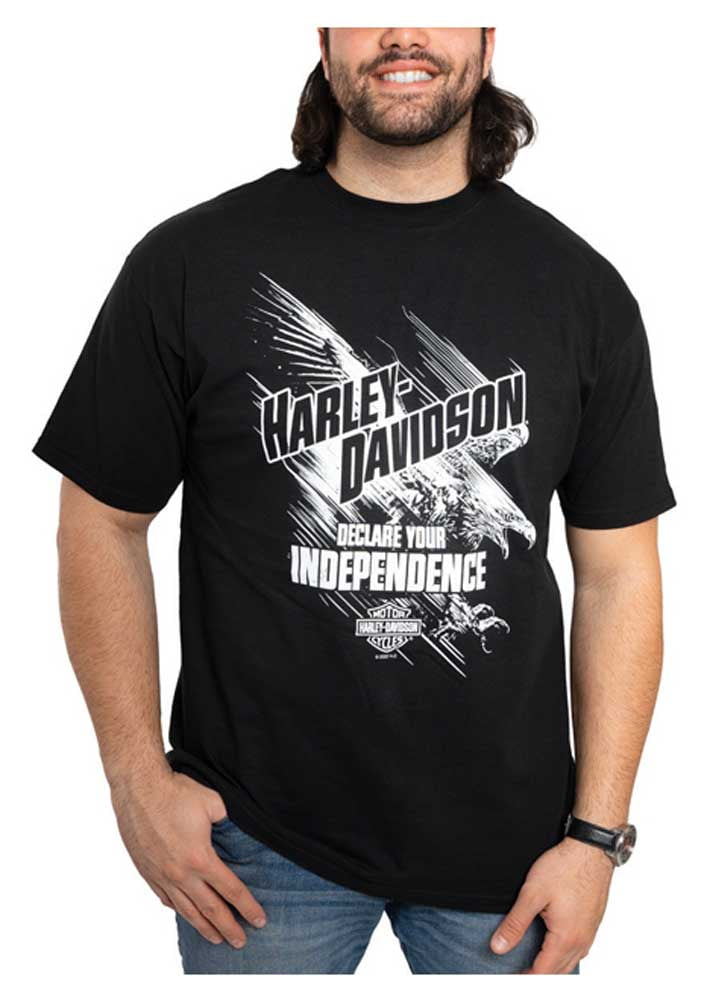 Harley-Davidson Men's Free Flyer Crew-Neck Short Sleeve Cotton T-Shirt, Black, 3XL, Clothing ...