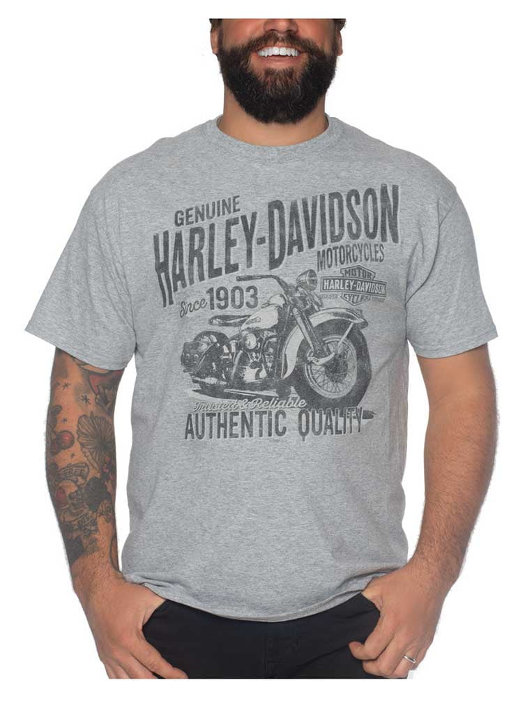 Harley-Davidson Men's Memory Lane Short Sleeve Crew-Neck T-Shirt, Gray ...