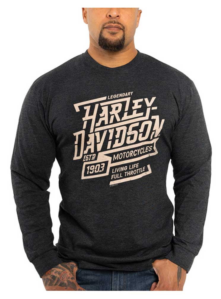 Harley-Davidson Men's Thunder Long Sleeve Crew-Neck Shirt - Vintage Black (3XL), Harley Davidson ...
