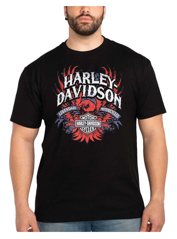 Harley-Davidson Mens Turbulent Short Sleeve Cotton Crew-Neck T-Shirt Black (2XL), Harley ...