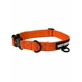 Harley-Davidson Nylon H-D Rubber Logo Adjustable Pet Collar - Solid ...