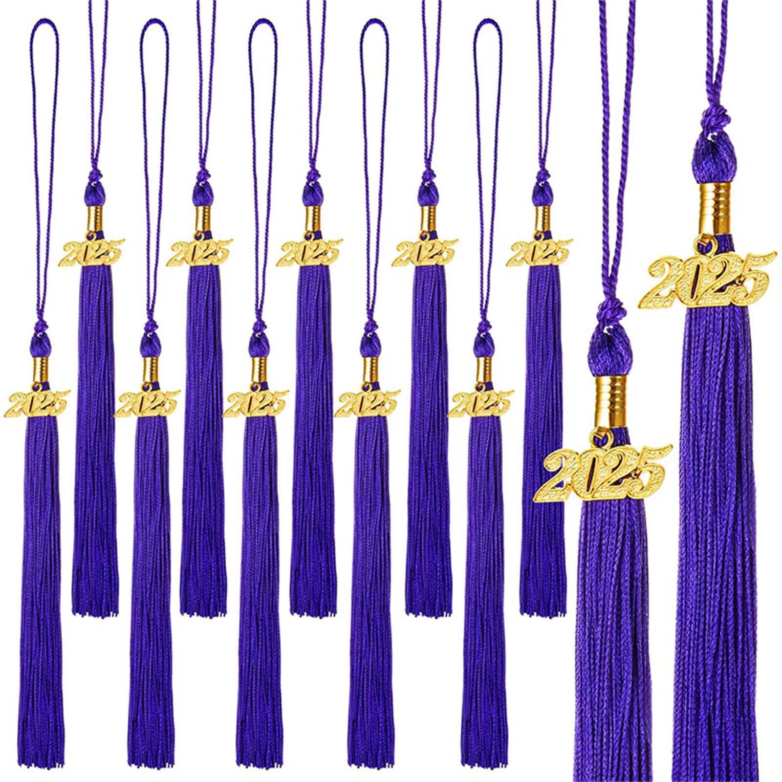 Harlier 10 Pieces 2025 Graduation Cap Tassel With Year Gold Charms ...