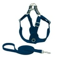 Harlier Dog Harness and Leash Set for Walking, Soft Mesh Adjustable ...