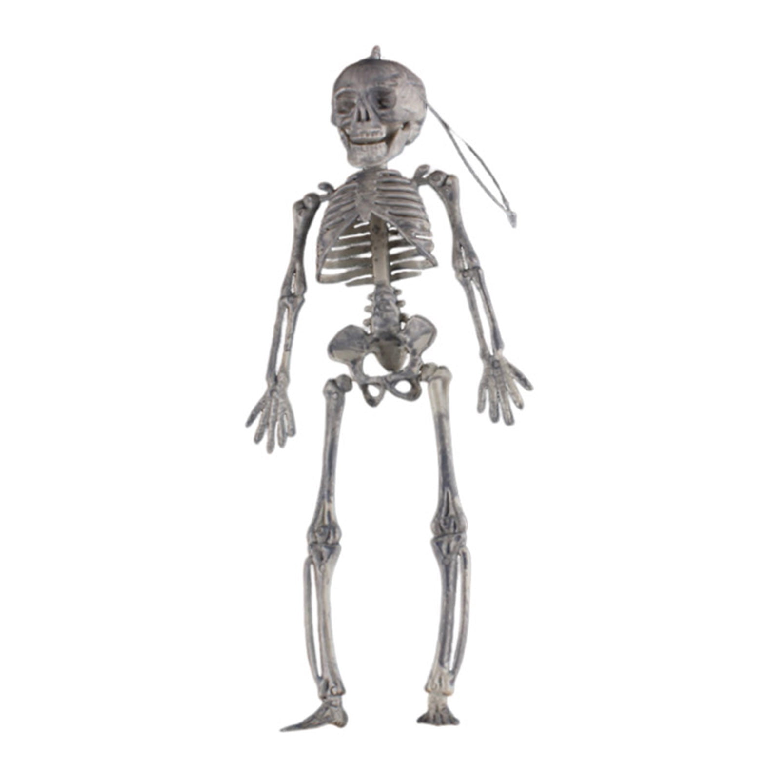 Harlier Halloween Skeleton Decorations, 11.4" Full Body Mini Skeleton ...