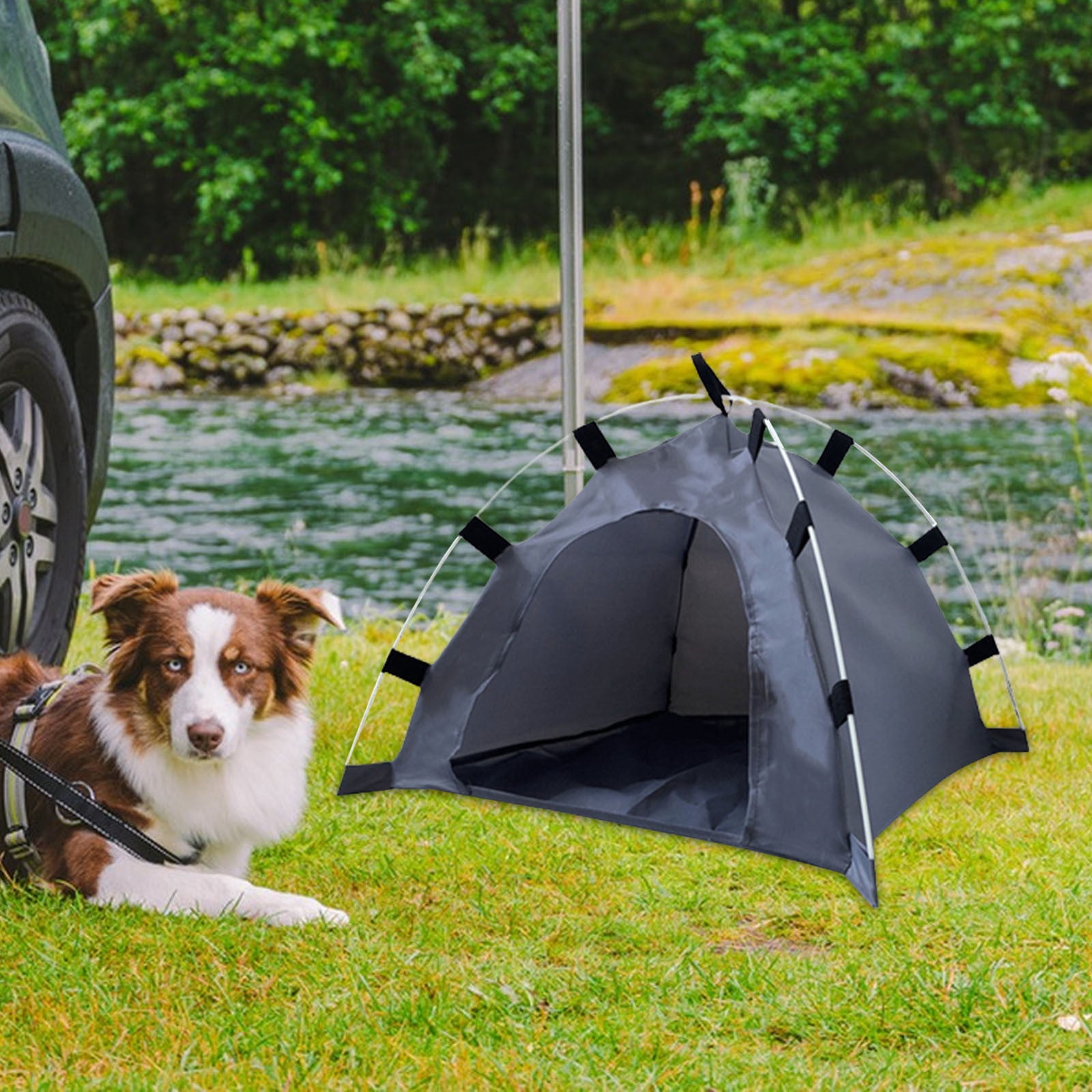 Harlier Outdoor Cat Tent, Portable Cat Enclosure for Dogs & Large ...