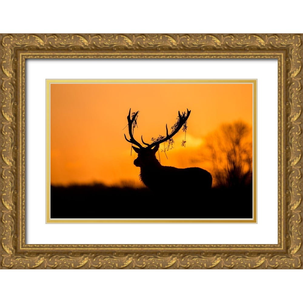 Harling, Stuart 24x17 Gold Ornate Wood Framed with Double Matting ...