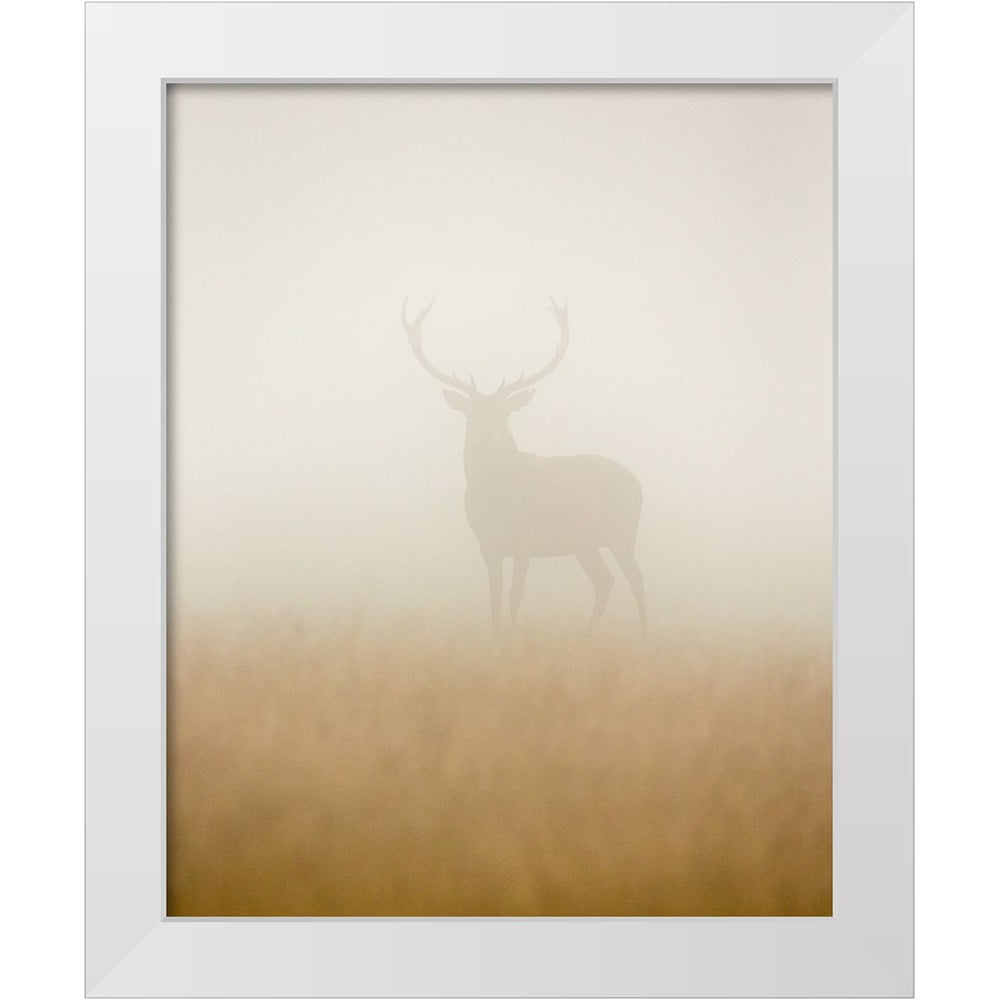 Harling, Stuart 26x32 White Modern Wood Framed Museum Art Print Titled ...