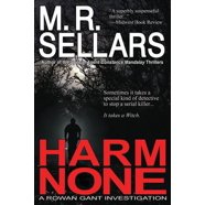 T-Bone the Drone (Hardcover) - Walmart.com