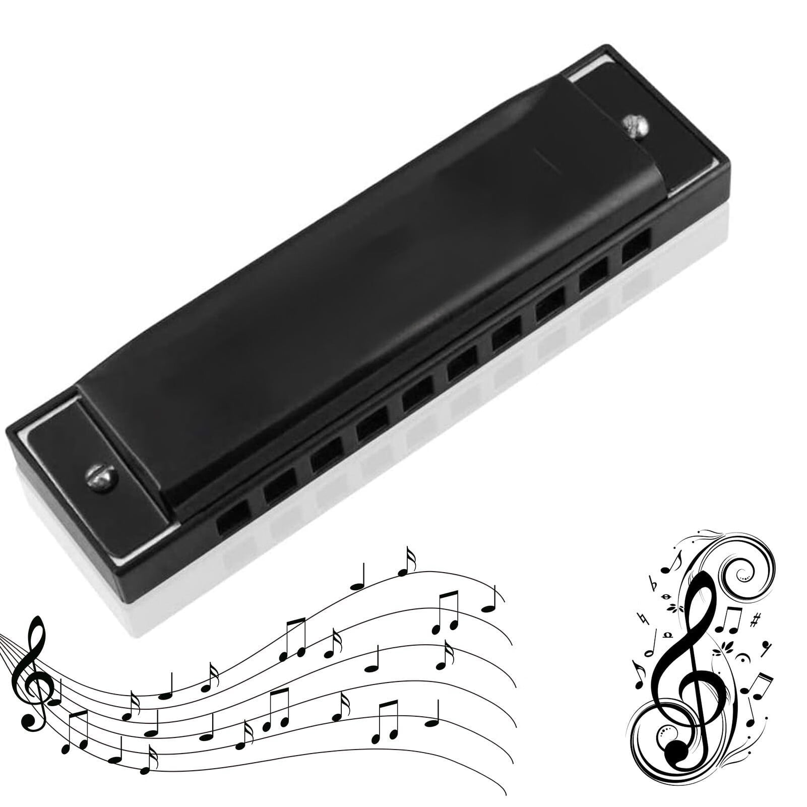 Harmonica Mouth Organ 10 Hole C Key with Case, Diatonic Harmonica for ...