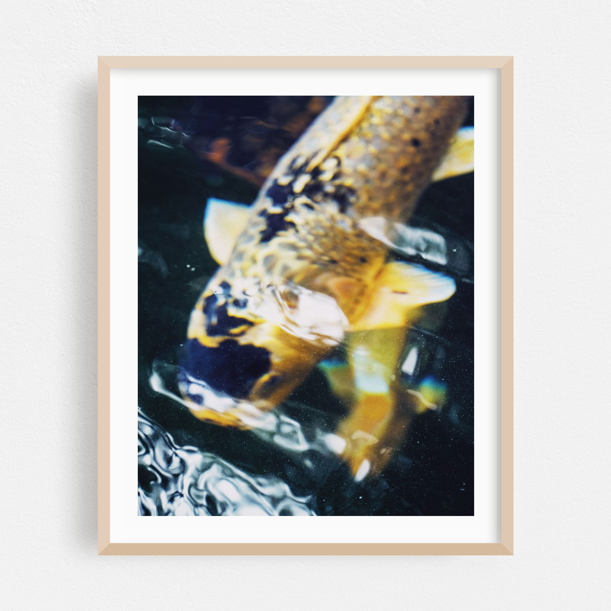 Harmony Beneath the Surface - Athens Greece Photography Aquatic Marine ...