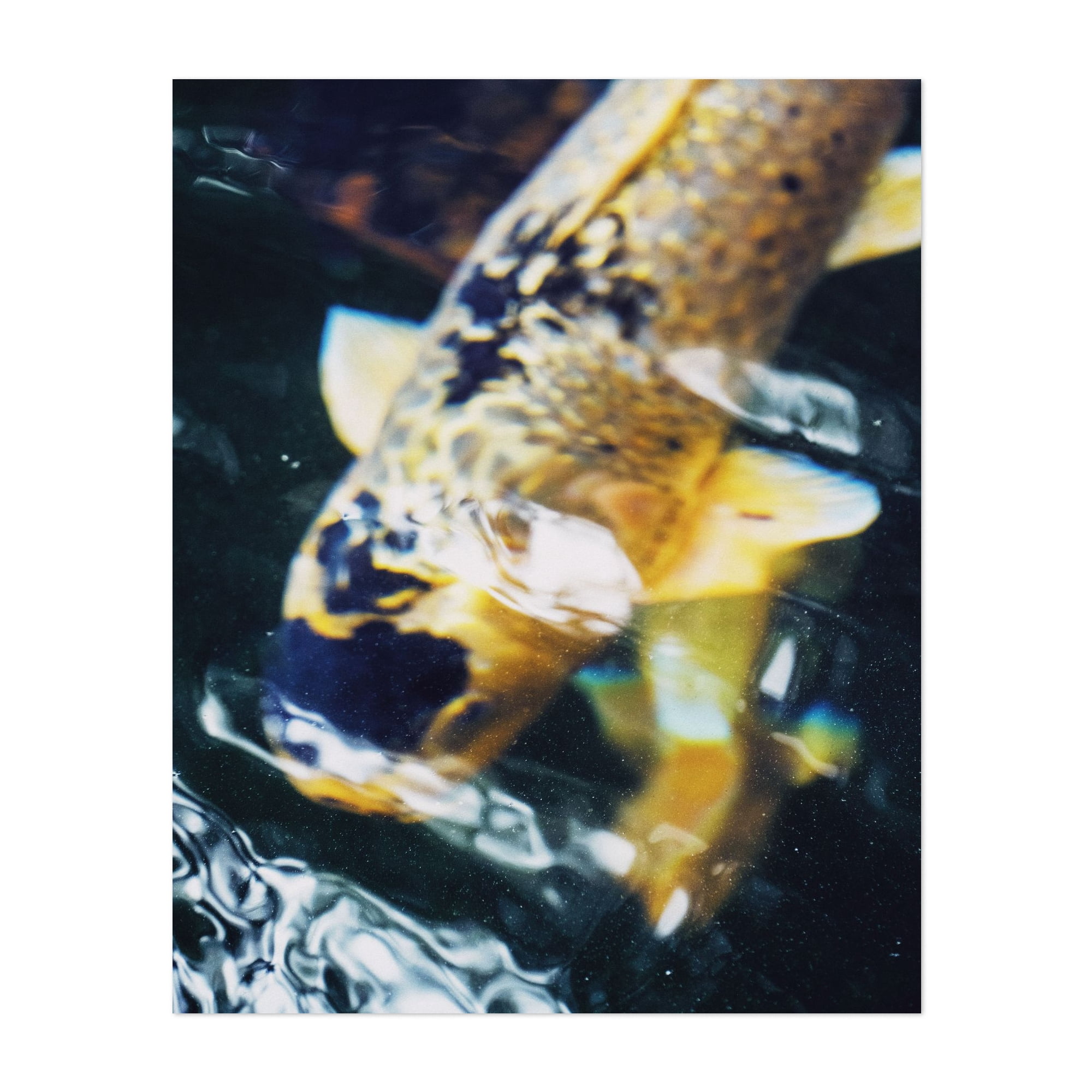 Harmony Beneath the Surface - Athens Greece Photography Aquatic Marine ...
