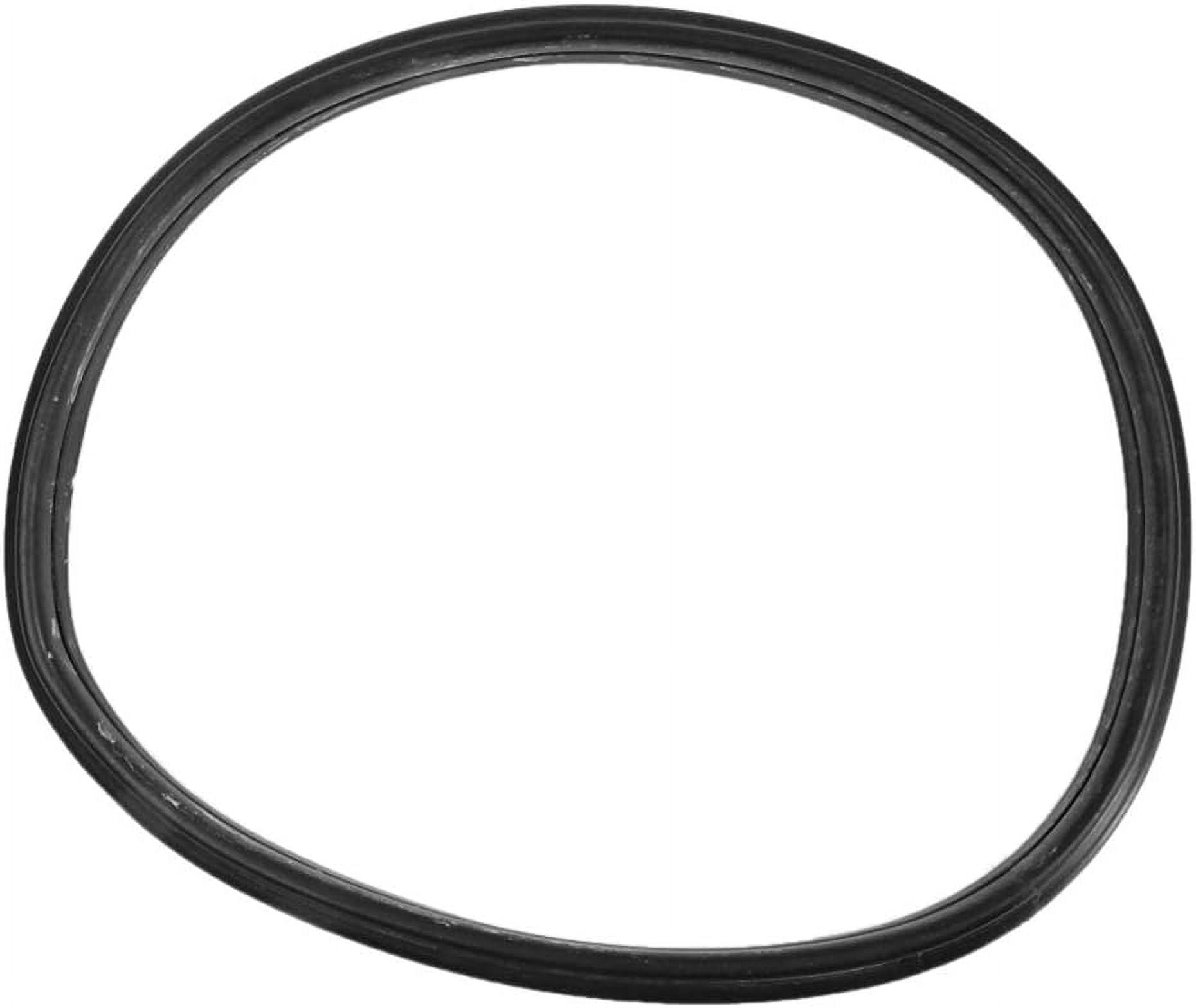 Harmsco HRM550 Rim Gasket for Pool Filters - Walmart.com