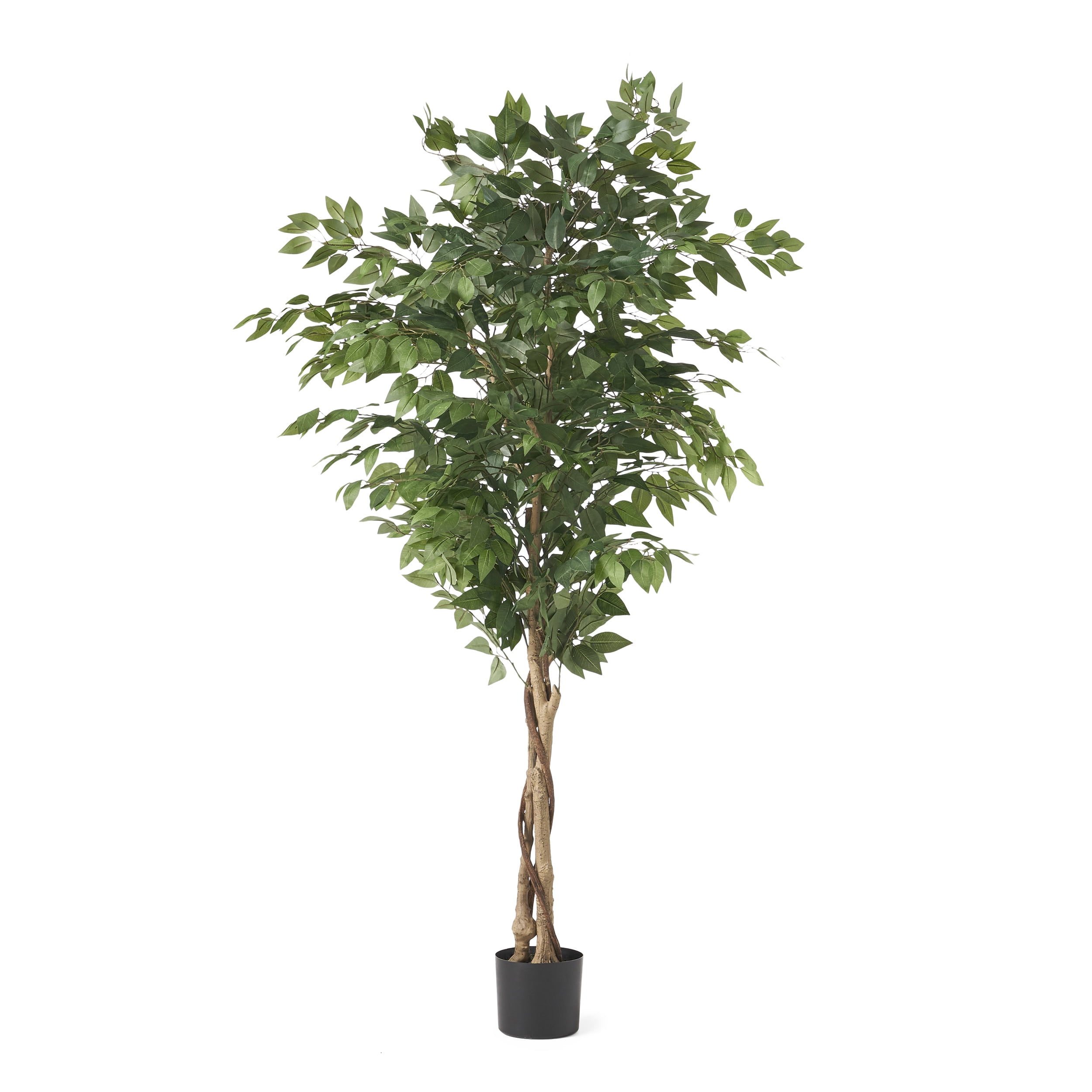 Free Shipping! Noble House 6' Artificial Ficus Tree, Green, Pre-Potted ...