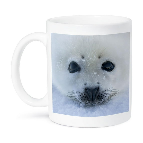 Harp Seal Pup, Iles De La Madeleine, Quebec, Canada - Cn10 Ksu0022 ...