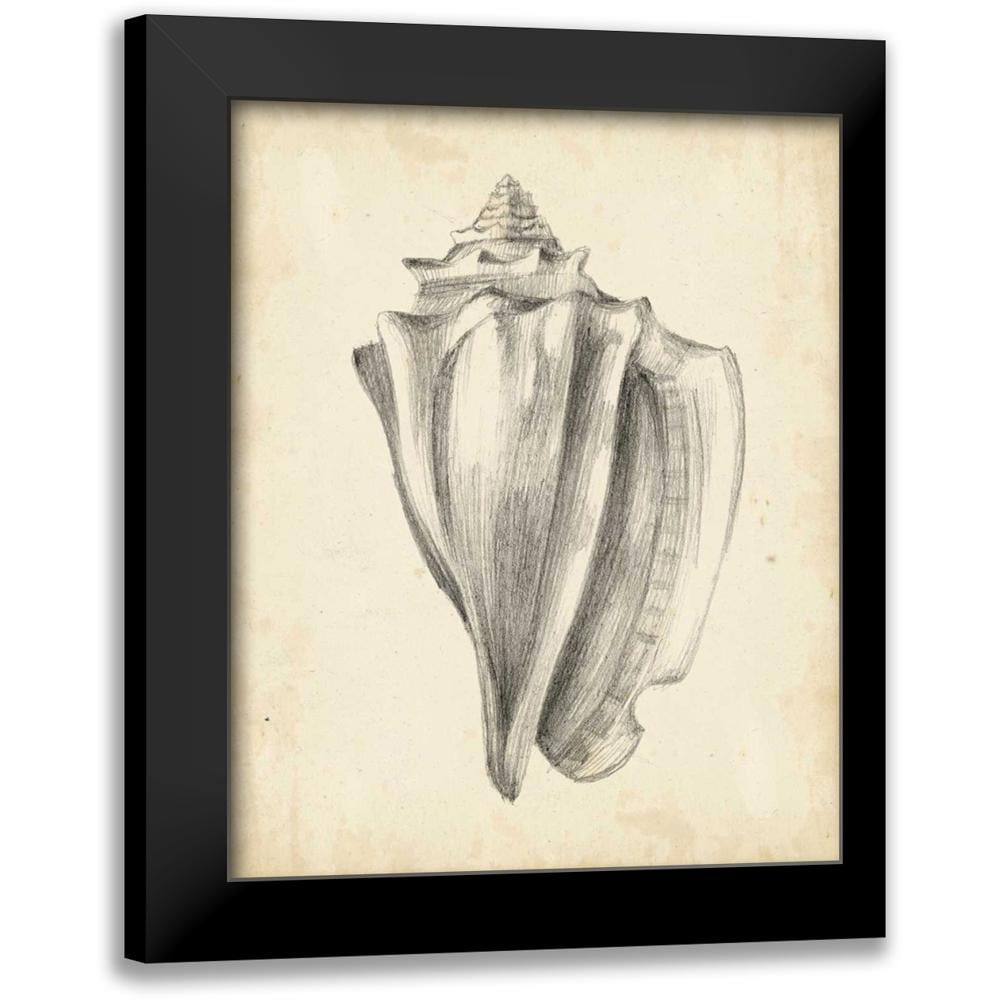 Harper, Ethan 12x14 Black Modern Framed Museum Art Print Titled - Antique Shell Study IV ...