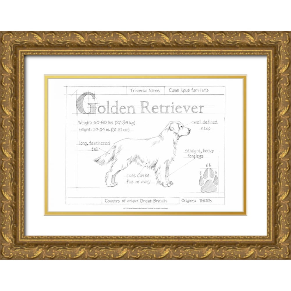 Harper, Ethan 14x11 Gold Ornate Wood Framed with Double Matting Museum ...