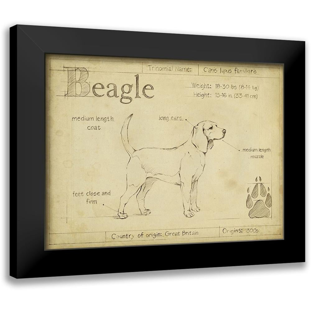 Harper, Ethan 14x12 Black Modern Framed Museum Art Print Titled ...