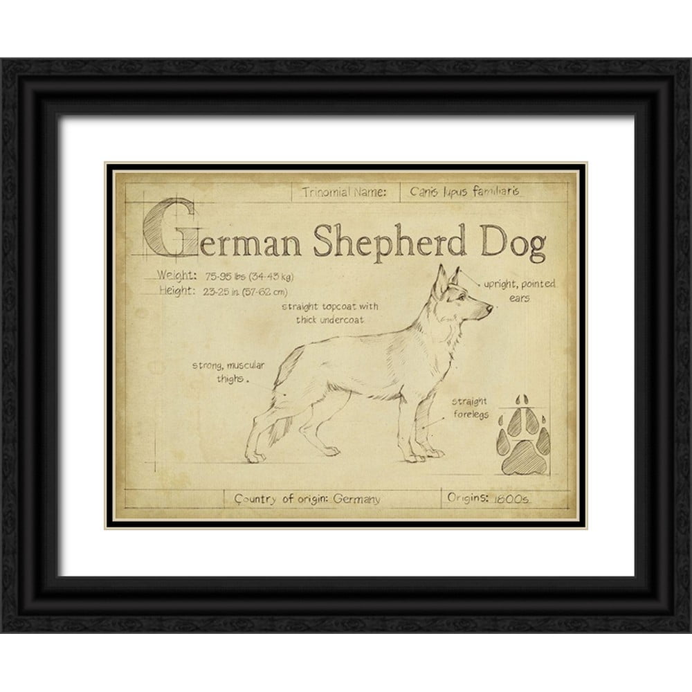 Harper, Ethan 14x12 Black Ornate Wood Framed with Double Matting Museum ...