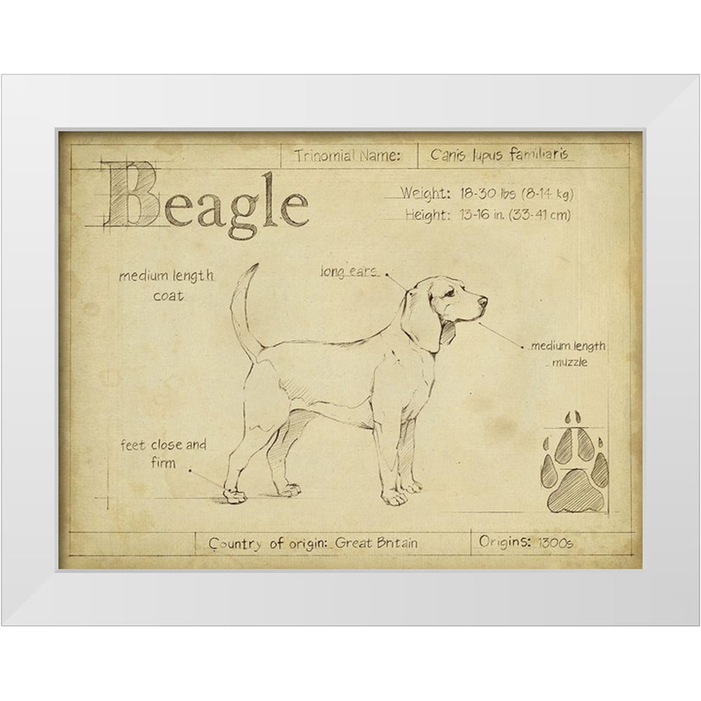 Harper, Ethan 14x12 White Modern Wood Framed Museum Art Print Titled ...