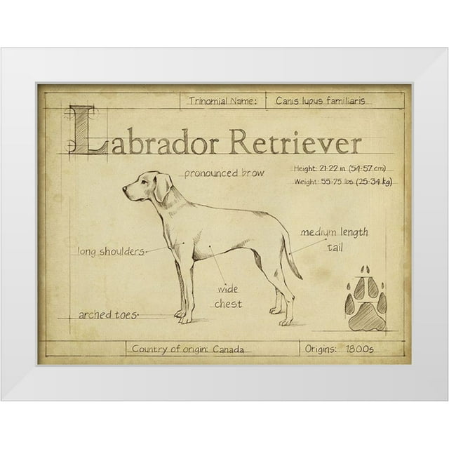 Harper, Ethan 14x12 White Modern Wood Framed Museum Art Print Titled ...