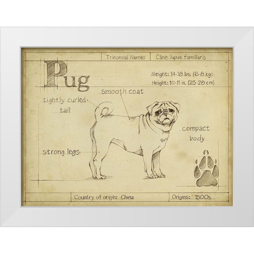 Harper, Ethan 14x12 White Modern Wood Framed Museum Art Print Titled ...