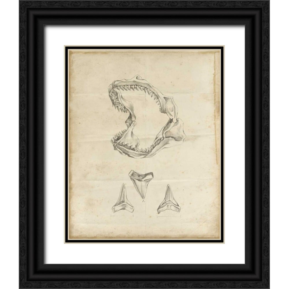 Harper, Ethan 15x18 Black Ornate Wood Framed with Double Matting Museum ...