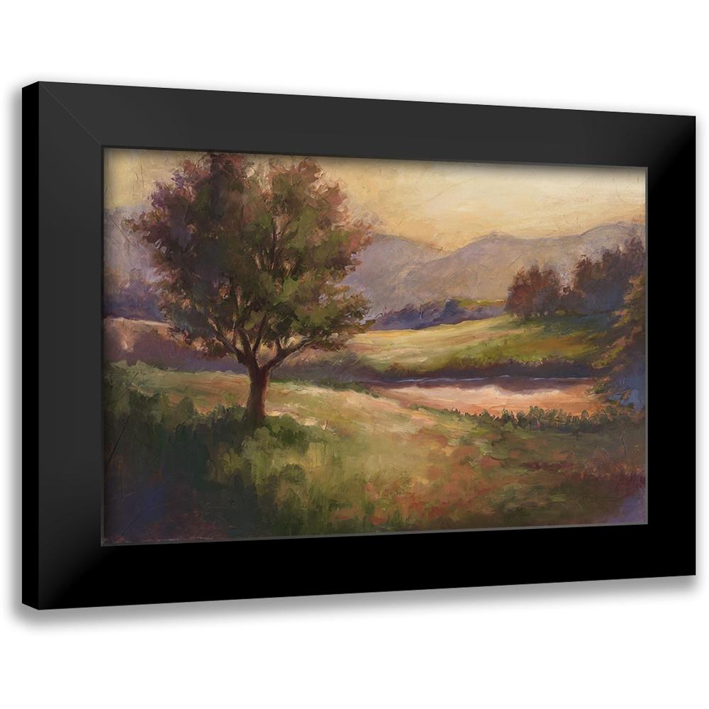 Harper, Ethan 24x17 Black Modern Framed Museum Art Print Titled ...