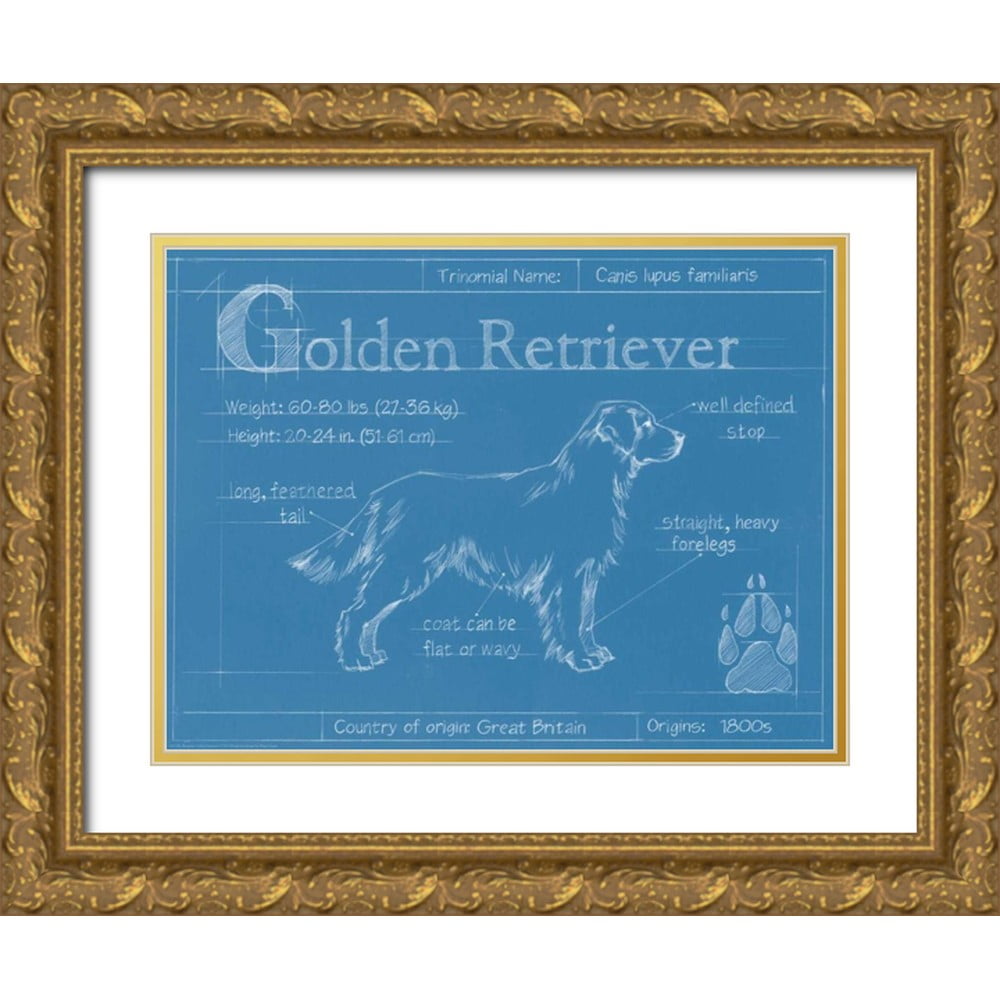 Harper, Ethan 24x19 Gold Ornate Wood Framed with Double Matting Museum ...