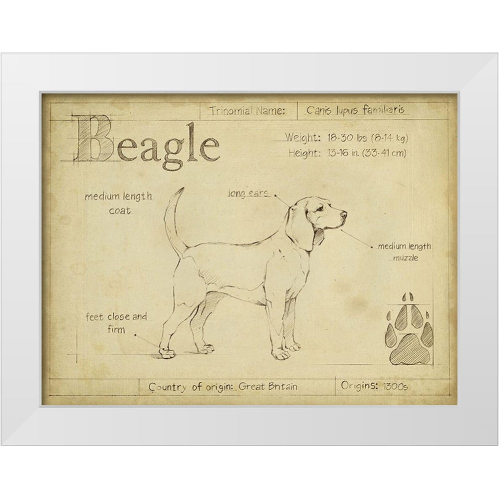 Harper, Ethan 32x25 White Modern Wood Framed Museum Art Print Titled ...