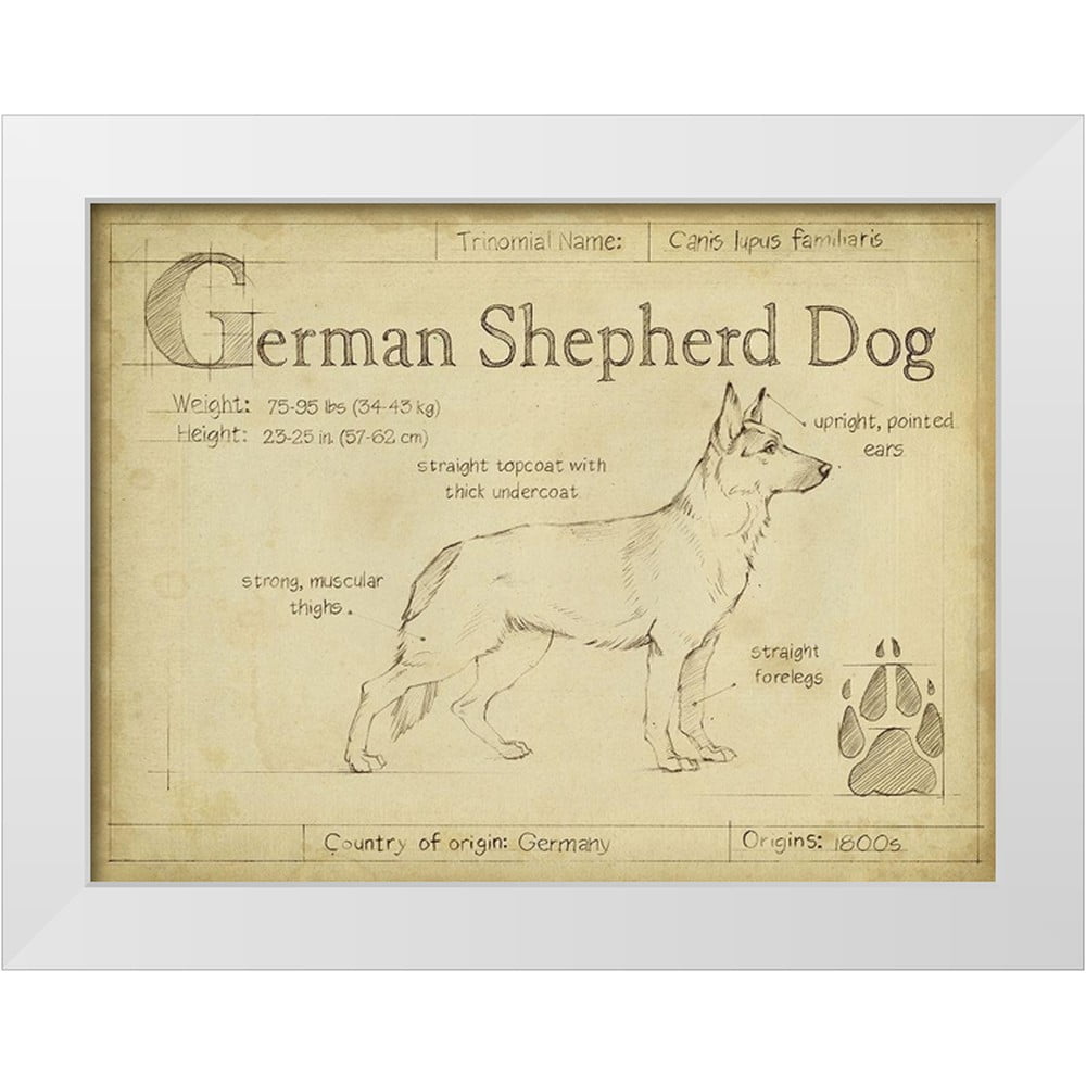 Harper, Ethan 32x25 White Modern Wood Framed Museum Art Print Titled ...