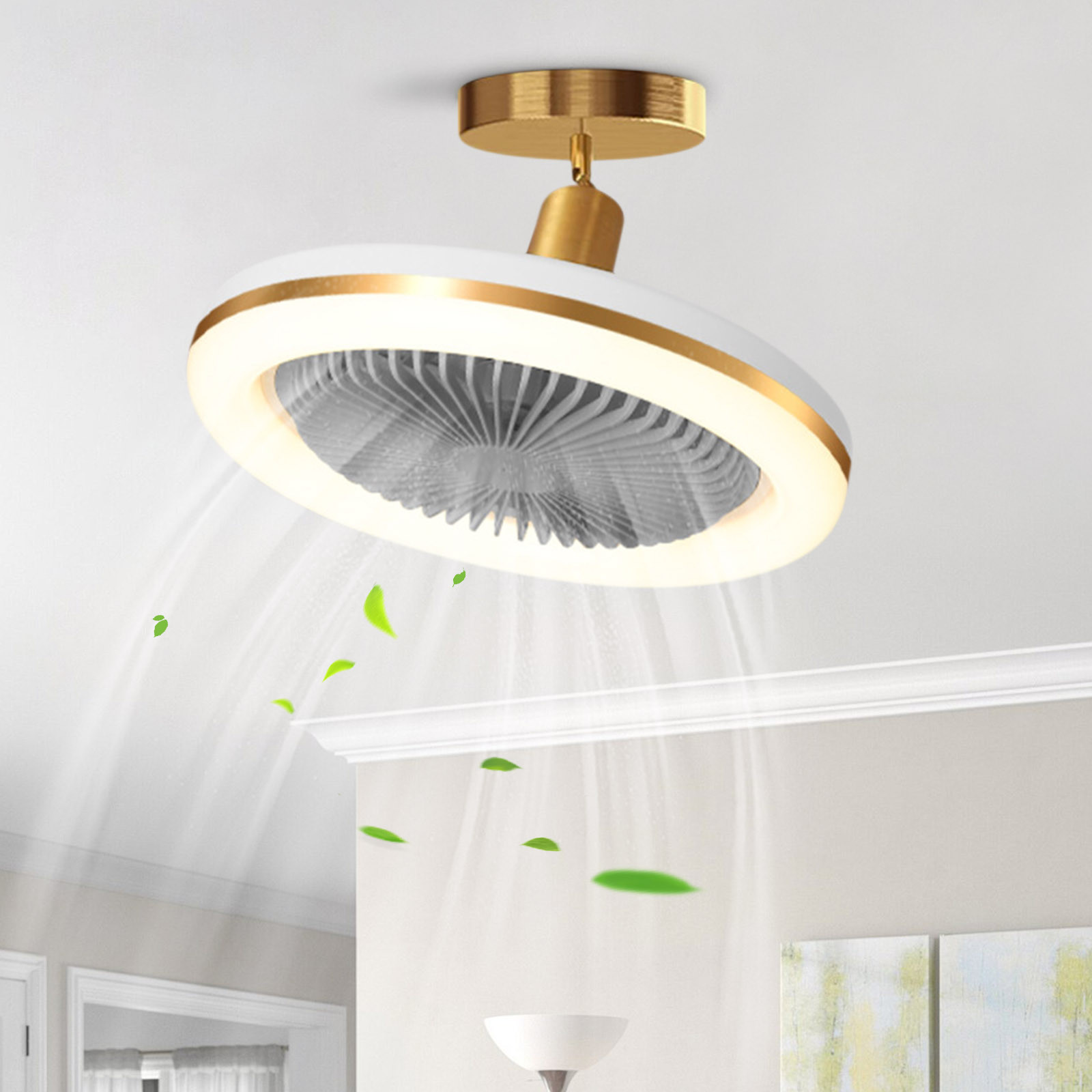 Harpi Ceiling Fans with Lights Modern Sketchy and Luxurious Circular ...