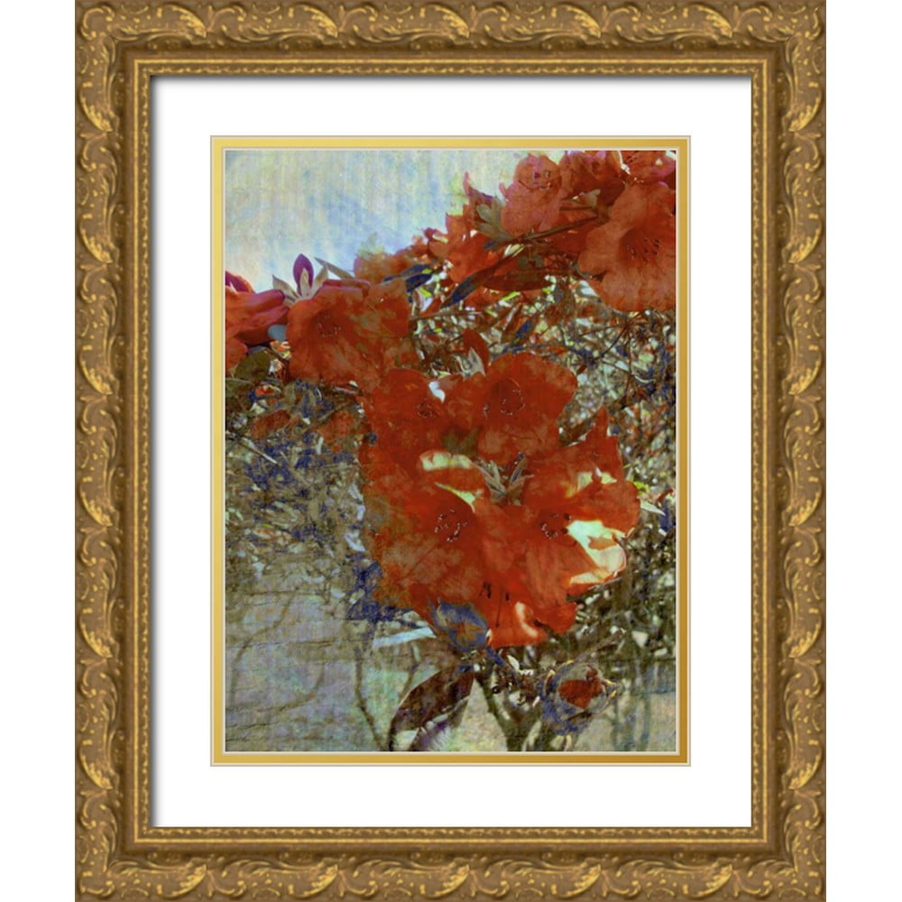 Harrington, Danielle 12x14 Gold Ornate Wood Framed with Double Matting ...