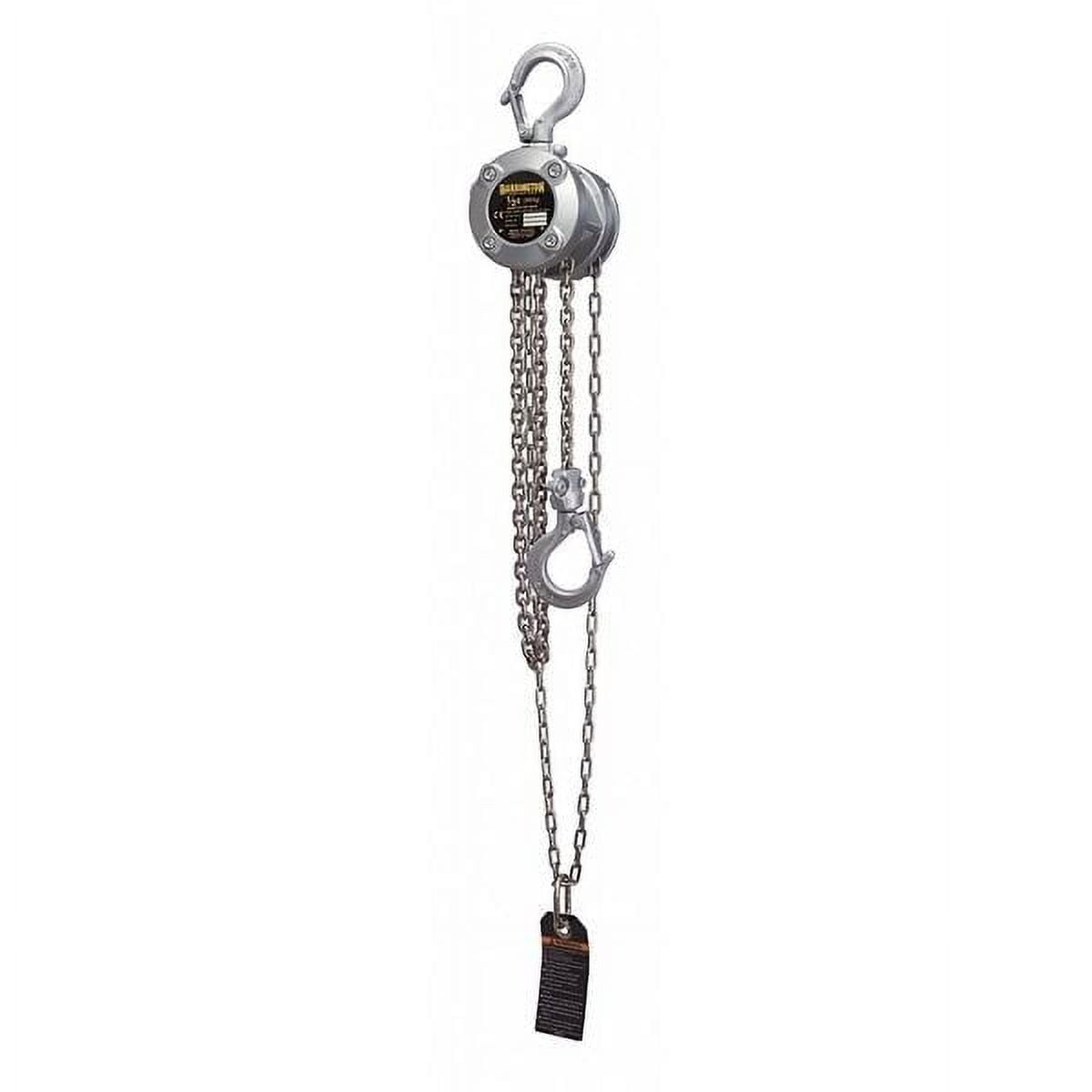 Harrington Mini Chain Hoist,1000 lb.,20 ft. Lift CX005-20 - Walmart.com