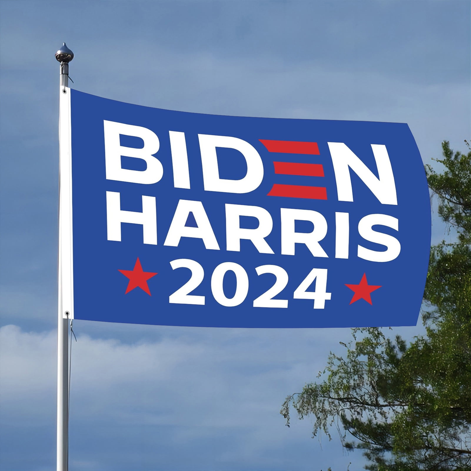 Harris 2024 Flag Outdoor Campaign Flag Clear Pattern Flag Rust-Proof ...