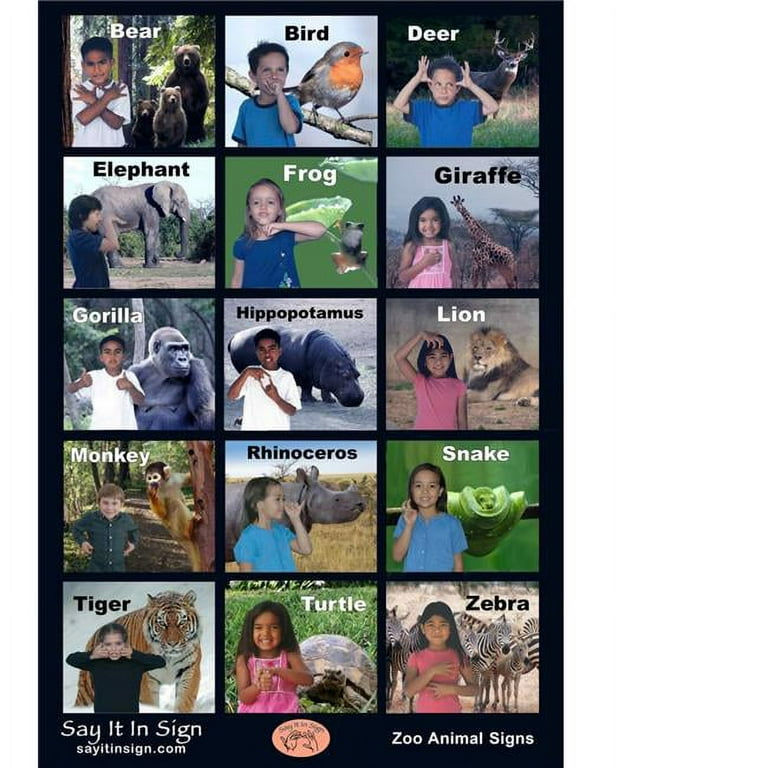 Asl Animal Walk