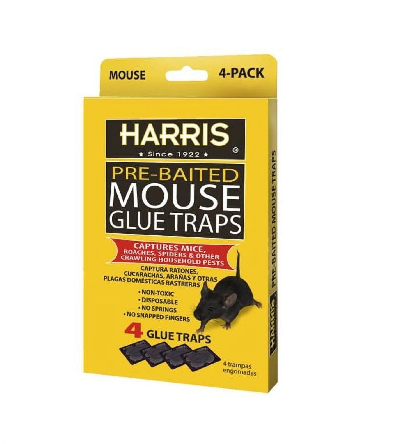 Harris HMG-4 Pre-Baited Mouse Glue Traps, Pack of 4 - Walmart.com