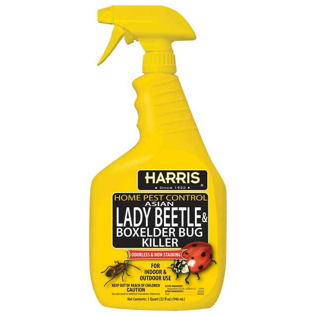 Harris 32oz Lady Beetle & Box Elder Bug Killer, Indoor & Outdoor Use ...