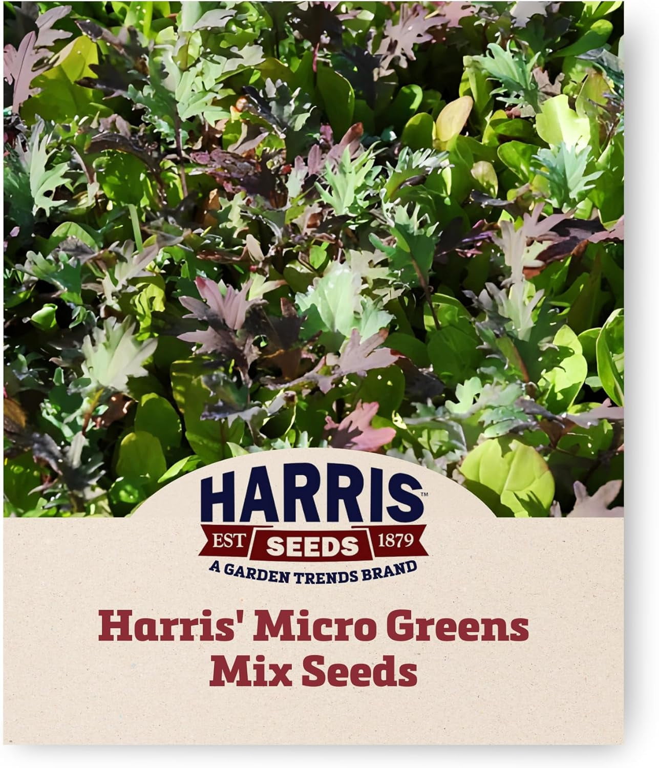 Harris Seeds - Green Harris’ Micro Mix Seeds Premium Multicolor - 1 Oz ...