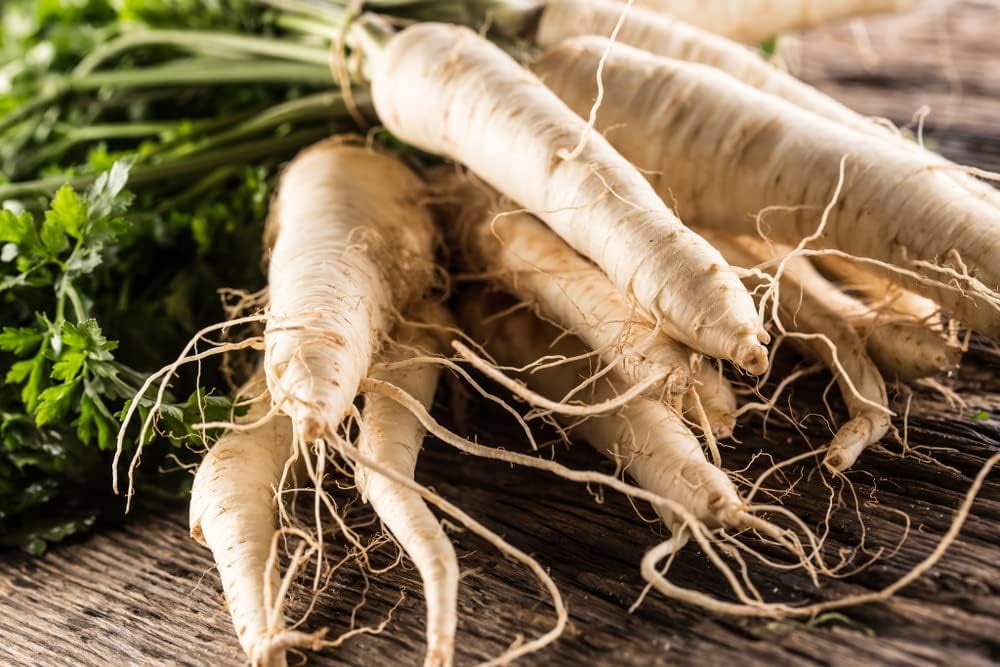 Harris Model Parsnip Seeds, 300+ Heirloom Seeds, Non GMO Survival Seeds ...