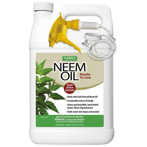 Neem Oil