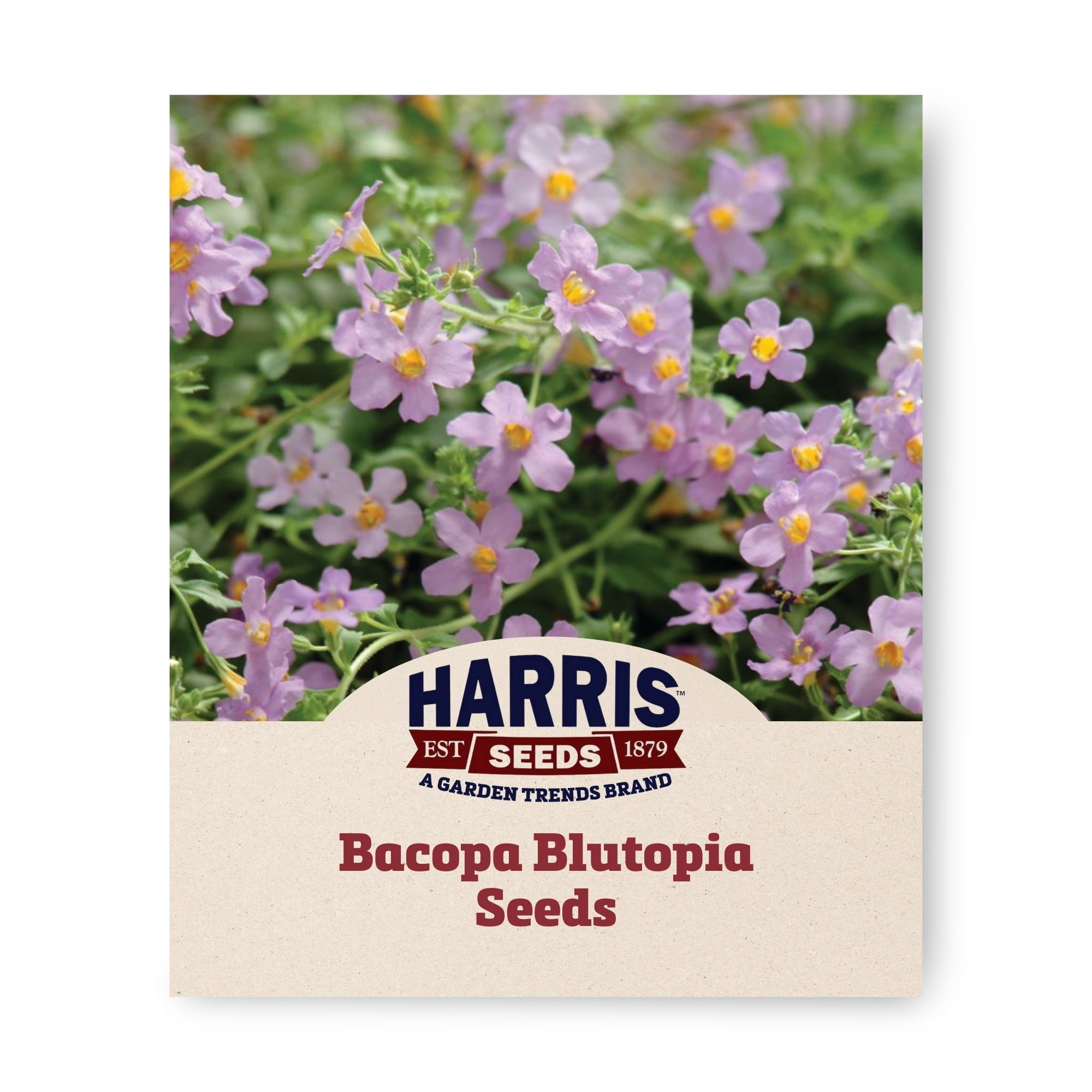 Harris Seeds 10 Lavender Blue Bacopa Blutopia Plant Seeds - Walmart.com
